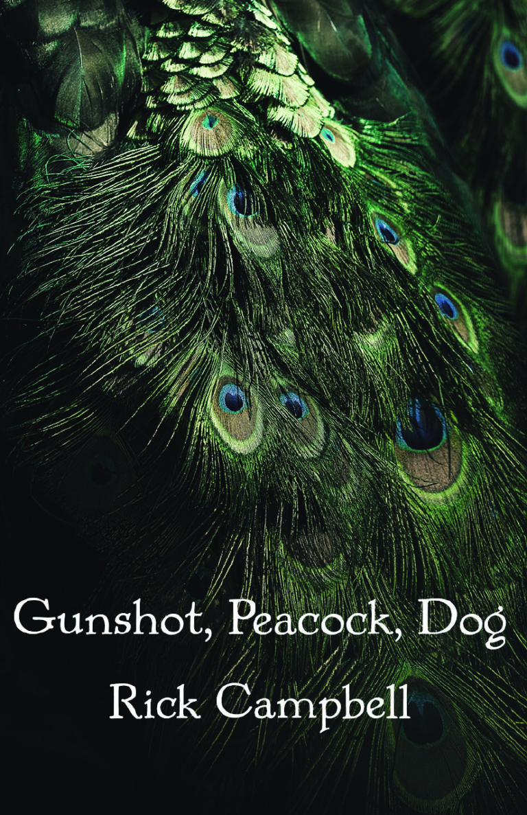 Books – RickCampbell